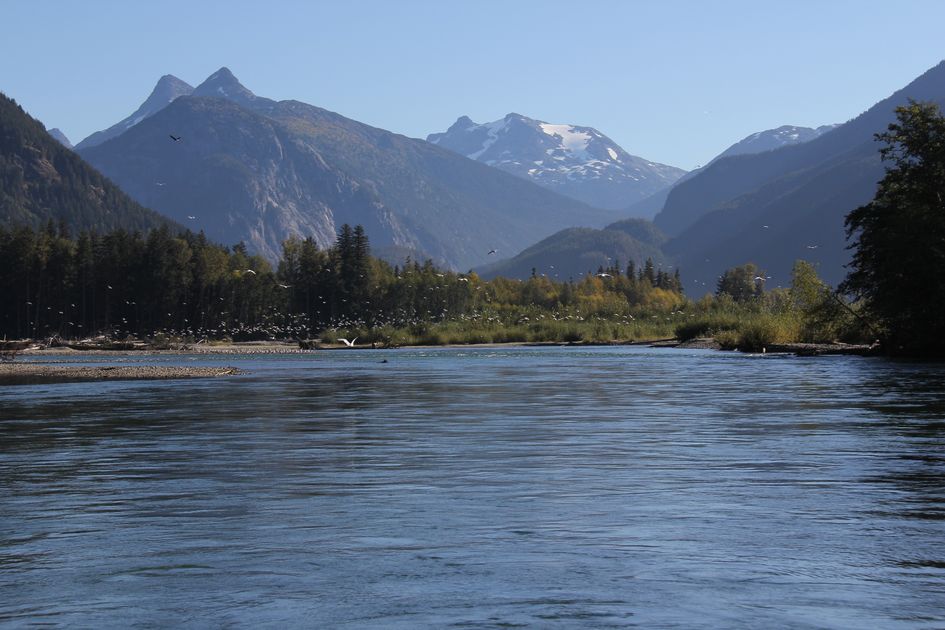 Kanada - Kitimat Königslachs/ Chinook | Angel+Fischerreisen
